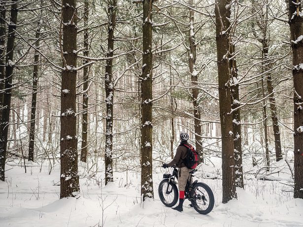 Embark on a Transformative Retreat at Mandapa, a Ritz-Carlton Reserve