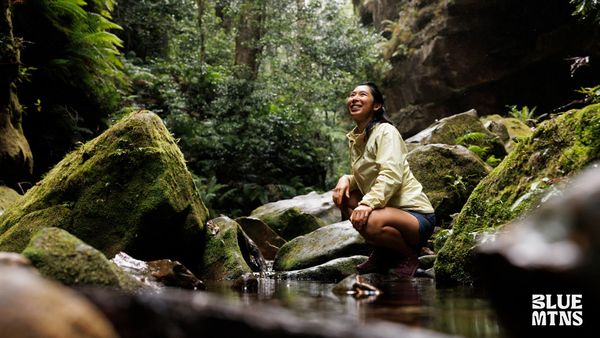 Leave a reply Cancel reply