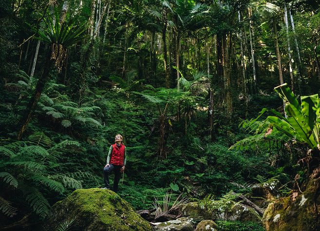 All Great Walks members hold advanced eco-tourism credentials and are ...