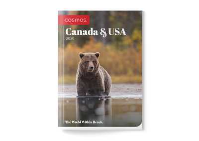 Leave a reply Cancel reply