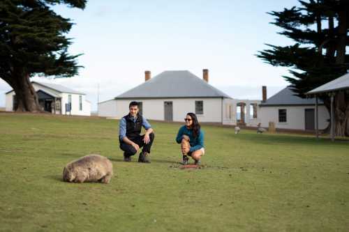 The Maria Island Walk Opens for 2025 2026 Season A Wilderness Journey ...