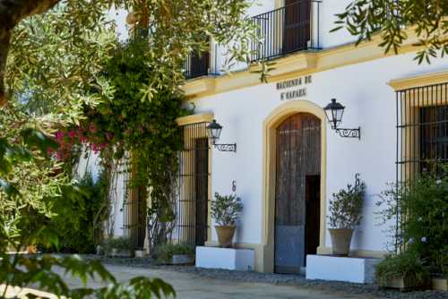Stirred Travel Expands Its European Culinary Weeks for 2026