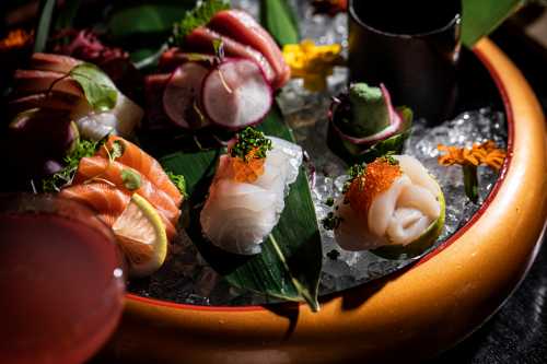 F&B_Sashimi_2