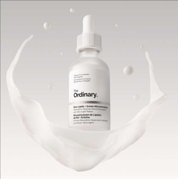 The Ordinary